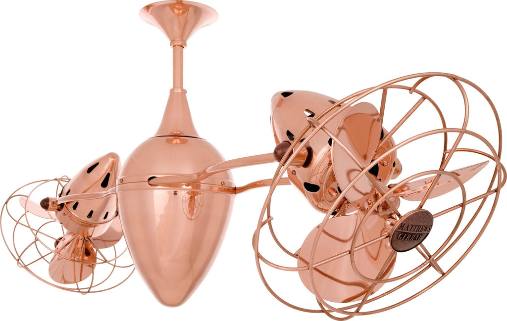 Ar Ruthiane series 360° dual headed rotational ceiling fan with metal ...